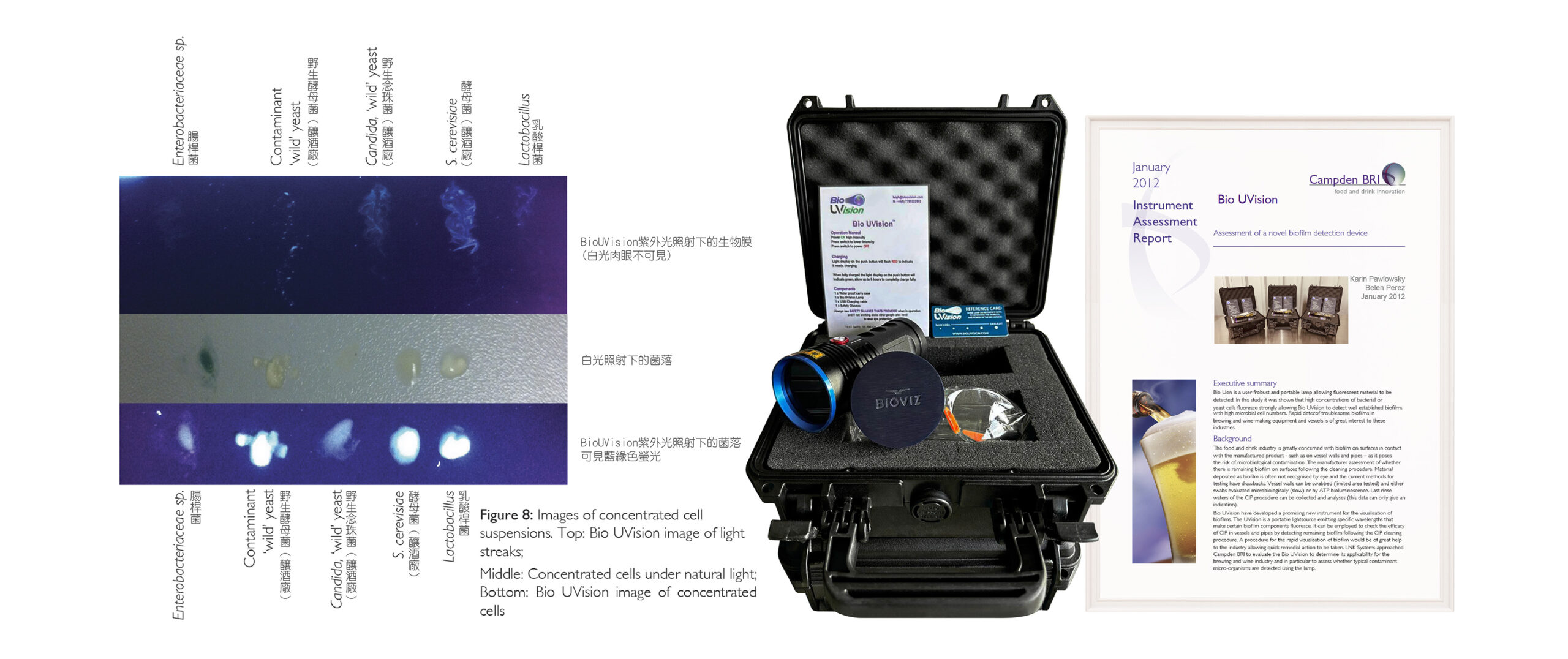 BIOVIZ 鴻一環控